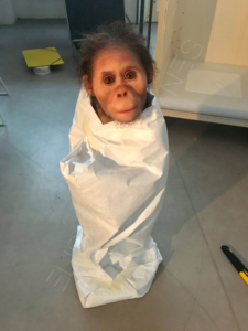 Paleoart | Reconstructions - Elisabeth DAYNES